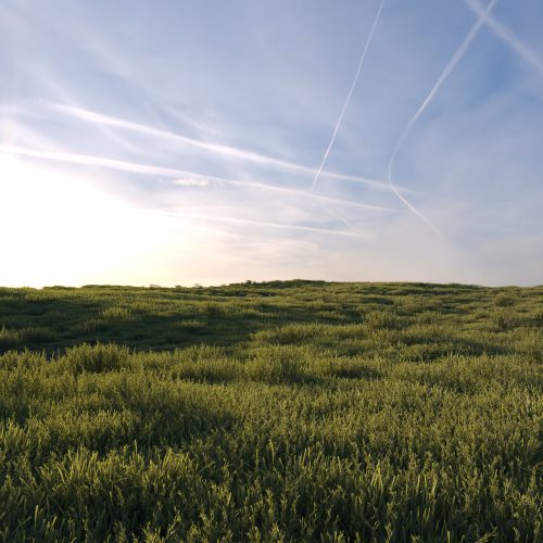 xoio-air | Blender with Corona Renderer – xoio-air